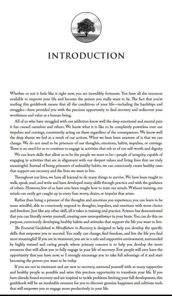 The Essential Guidebook to Mindfulness in Recovery - Mindful Life Program