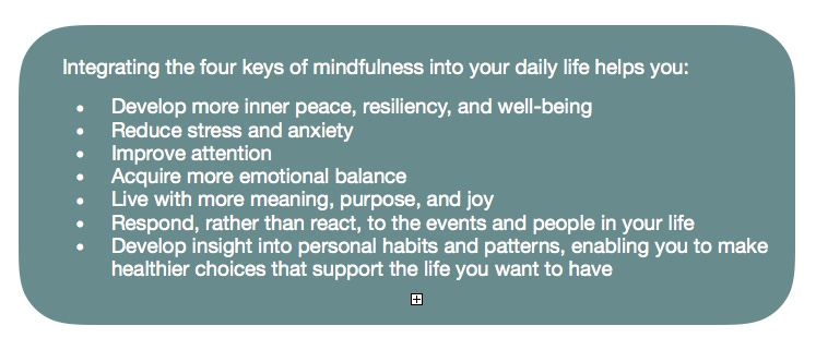 Integrating image | Mindful Life Program