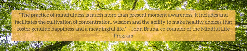 Mindfulness Immersion Semester - Mindful Life Program