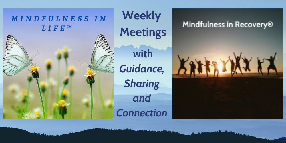 Home - Mindful Life Program