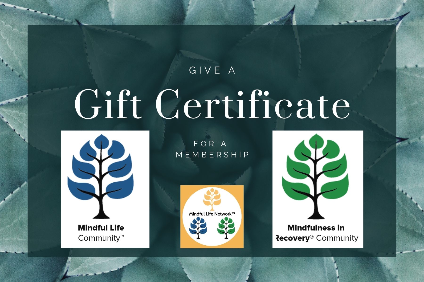 Membership Gift - Mindful Life Program