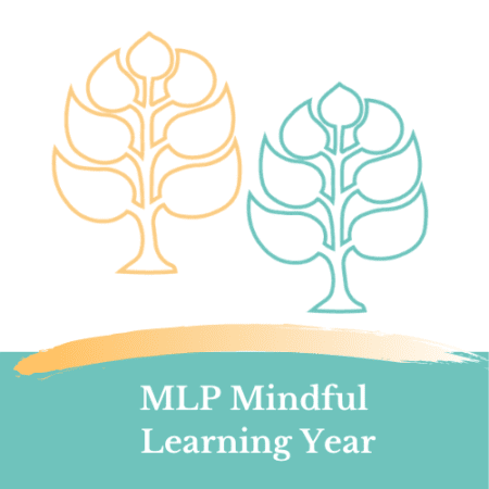 Events Archive - Mindful Life Program