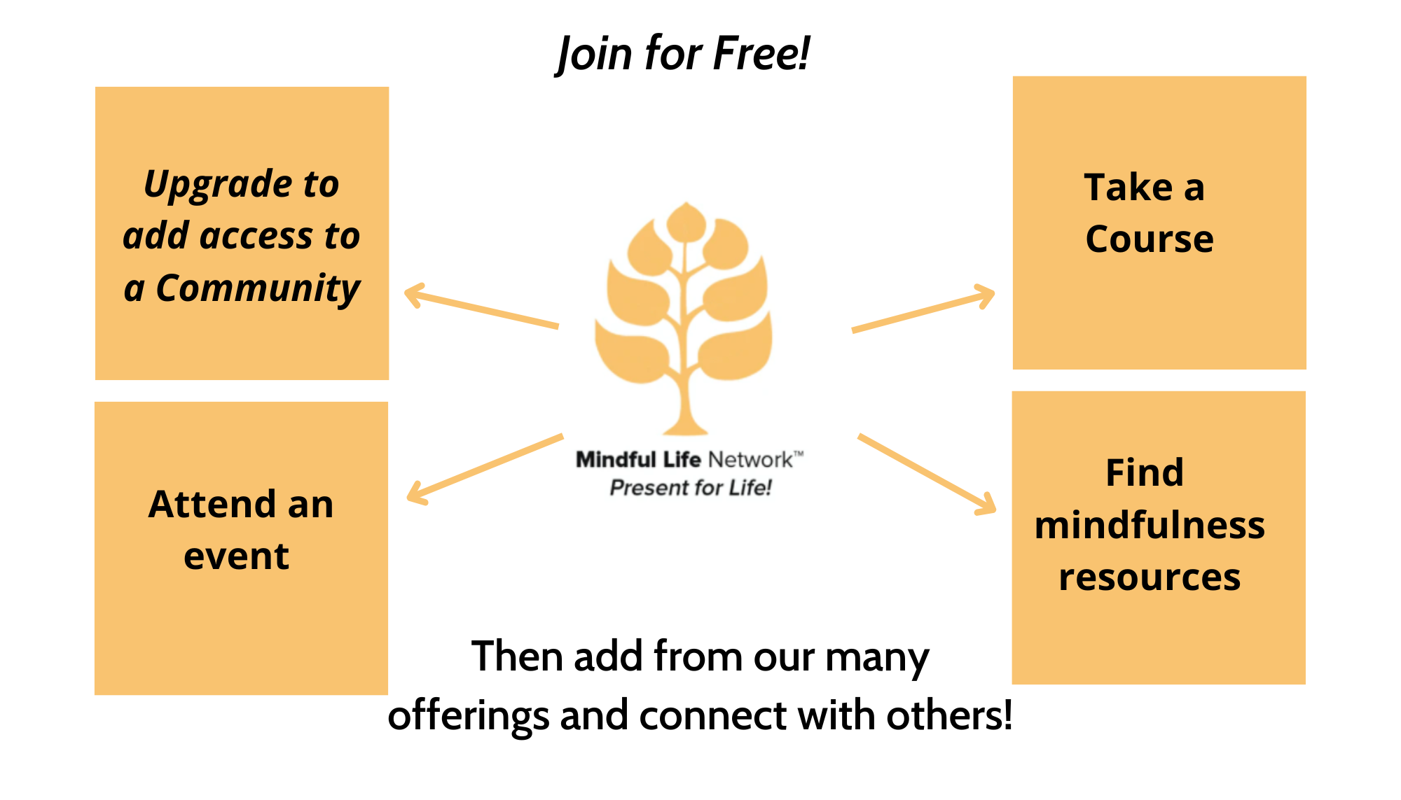 Mindful Life Network™ and Communities - Mindful Life Program