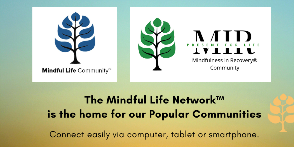 Mindful Life Network™ and Communities - Mindful Life Program