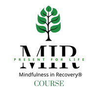Ongoing Events - Mindful Life Program